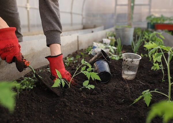 What is potting mix and why is it important for plant growth?